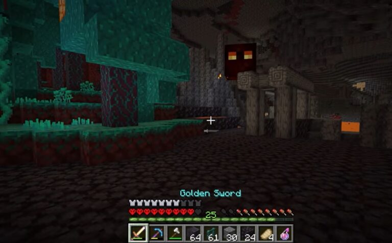 Surviving and Thriving in the Nether: A Complete Guide to Minecraft's ...