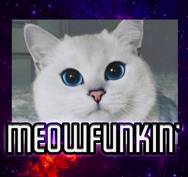 Meow Funkin’ Online 🔥 FNF Game - Play at Y9FreeGames